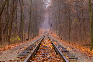 Leaves on the line: will the rail industry ever win its autumn war ...